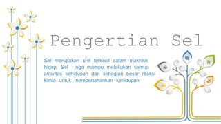 biologi sel struktur dan fungsi lengkap | PPTX