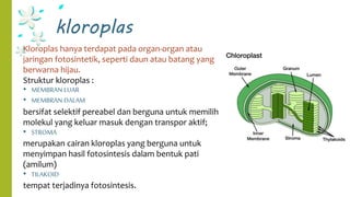 biologi sel struktur dan fungsi lengkap | PPTX