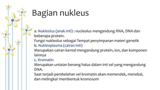 biologi sel struktur dan fungsi lengkap | PPTX