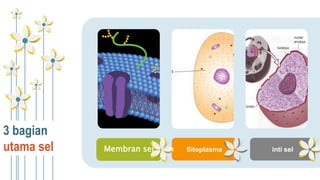 biologi sel struktur dan fungsi lengkap | PPTX