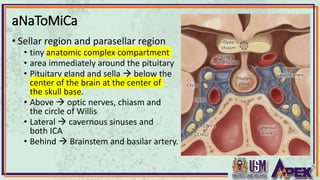 Sellar Region Tumors.pptx