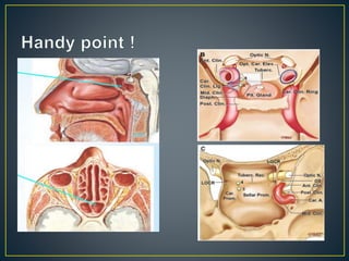 Sella supra sella anatomy | PPTX