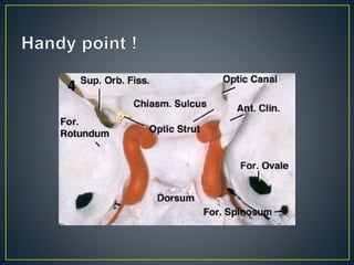 Sella supra sella anatomy | PPTX