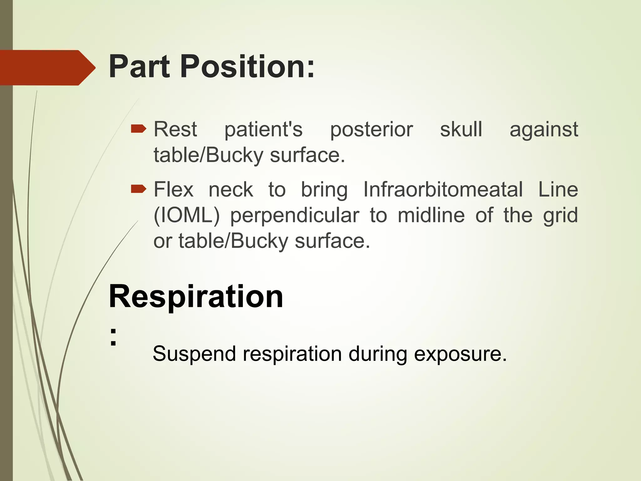 Sella Turcica (RAD32) | PPTX