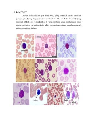 Sel-sel pada leukosit | DOCX