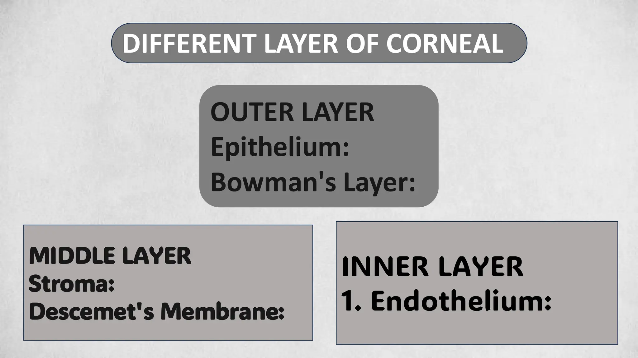 Corneal anatomy powerpoint presentation. | PDF