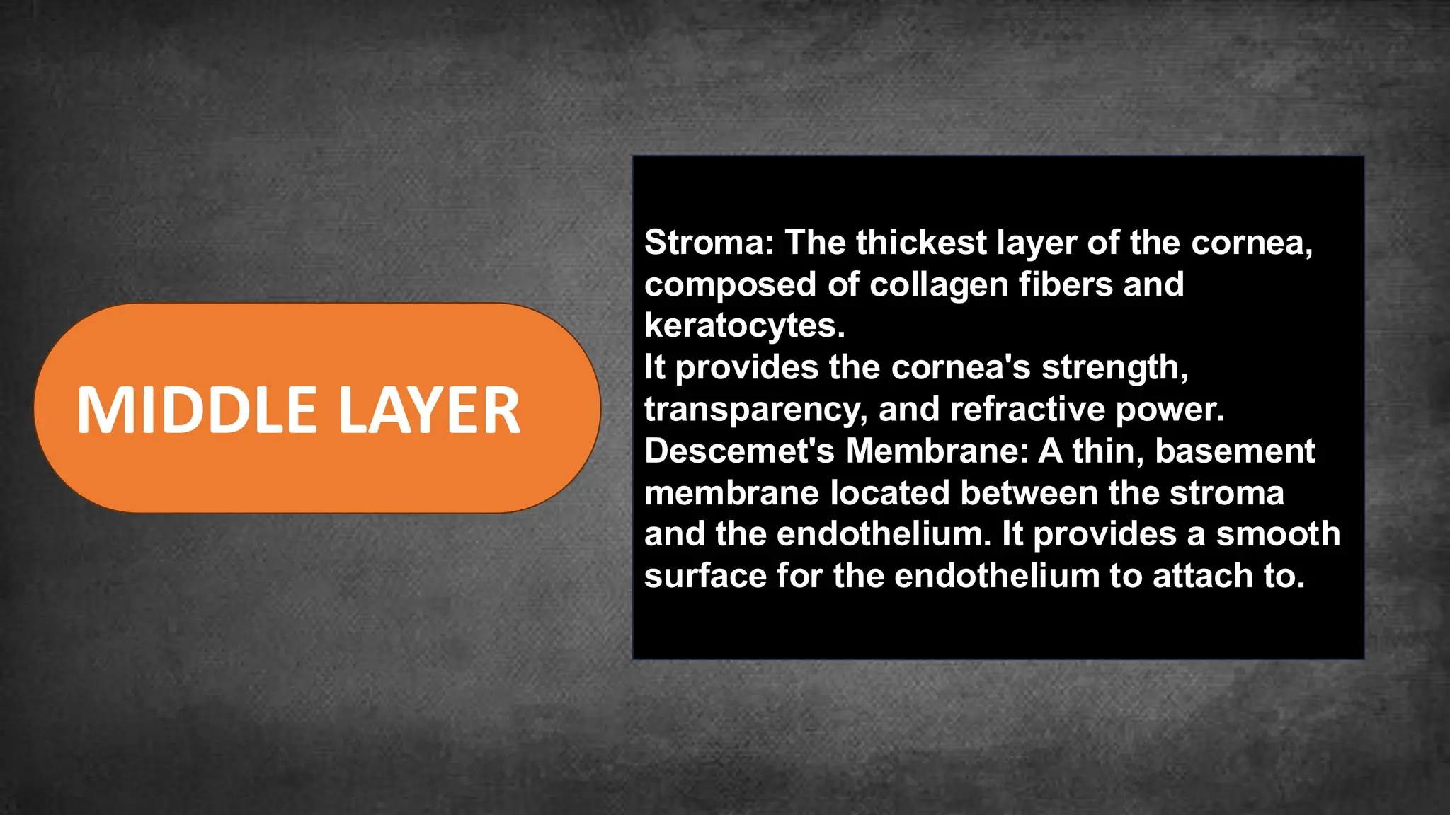 Corneal anatomy powerpoint presentation. | PDF