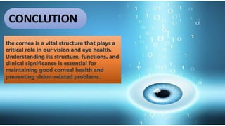 Corneal anatomy powerpoint presentation. | PPT