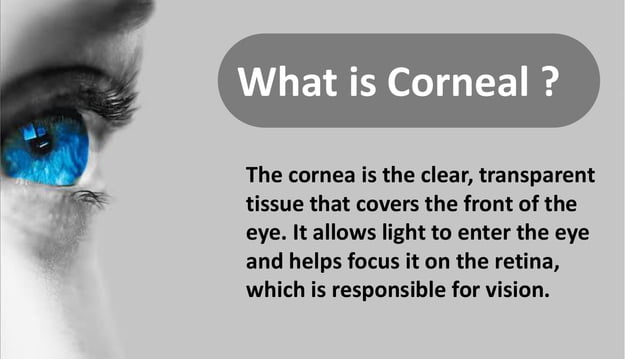 Corneal anatomy powerpoint presentation. | PPT