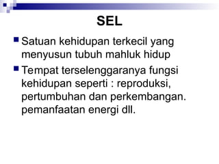 BIOLOGI KELAS 11 STRUKTUR DAN FUNGSI SEL | PPT