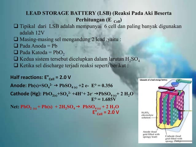 Sel Pada Aki (Universitas Negeri Surabaya) | PPTX