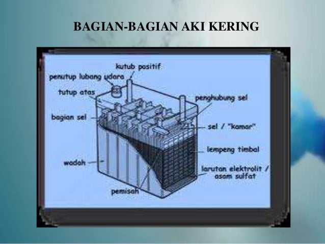 Sel Pada Aki (Universitas Negeri Surabaya)