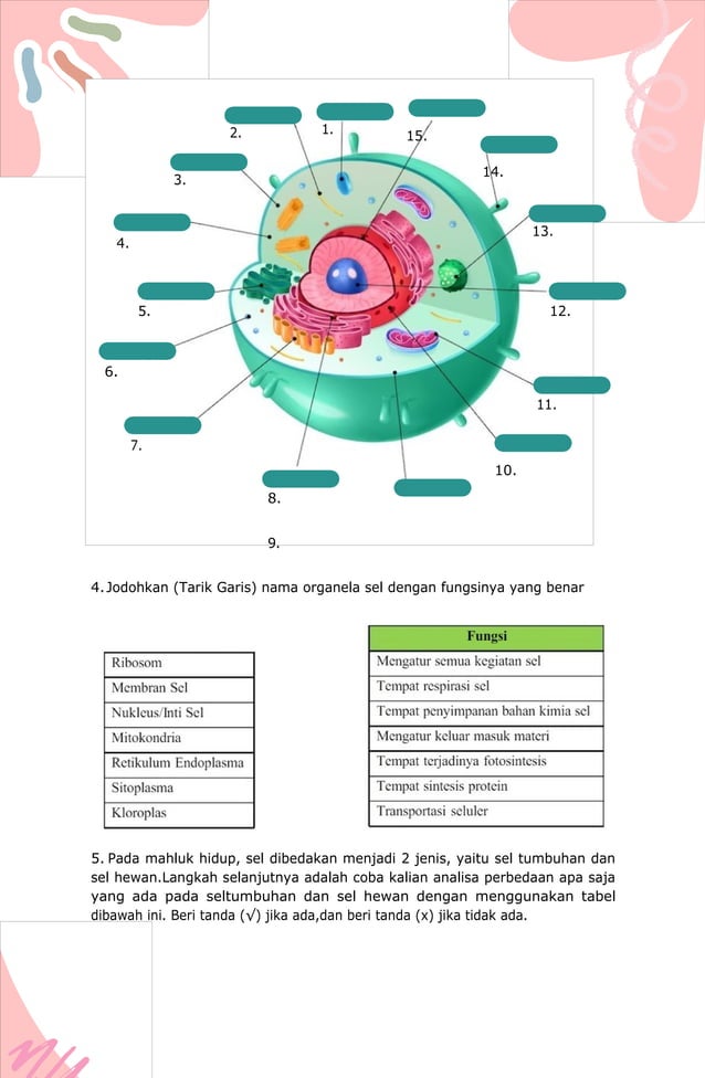 SEL PERTEMUAN 1_2.docx MODUL PEMBELAJARAN | DOCX