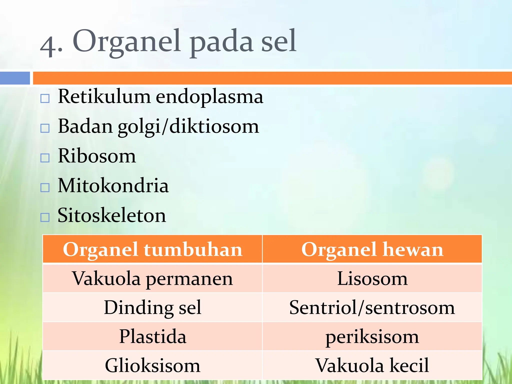 Struktur dan Fungsi Sel, Materi Biologi kelas 10 | PPTX