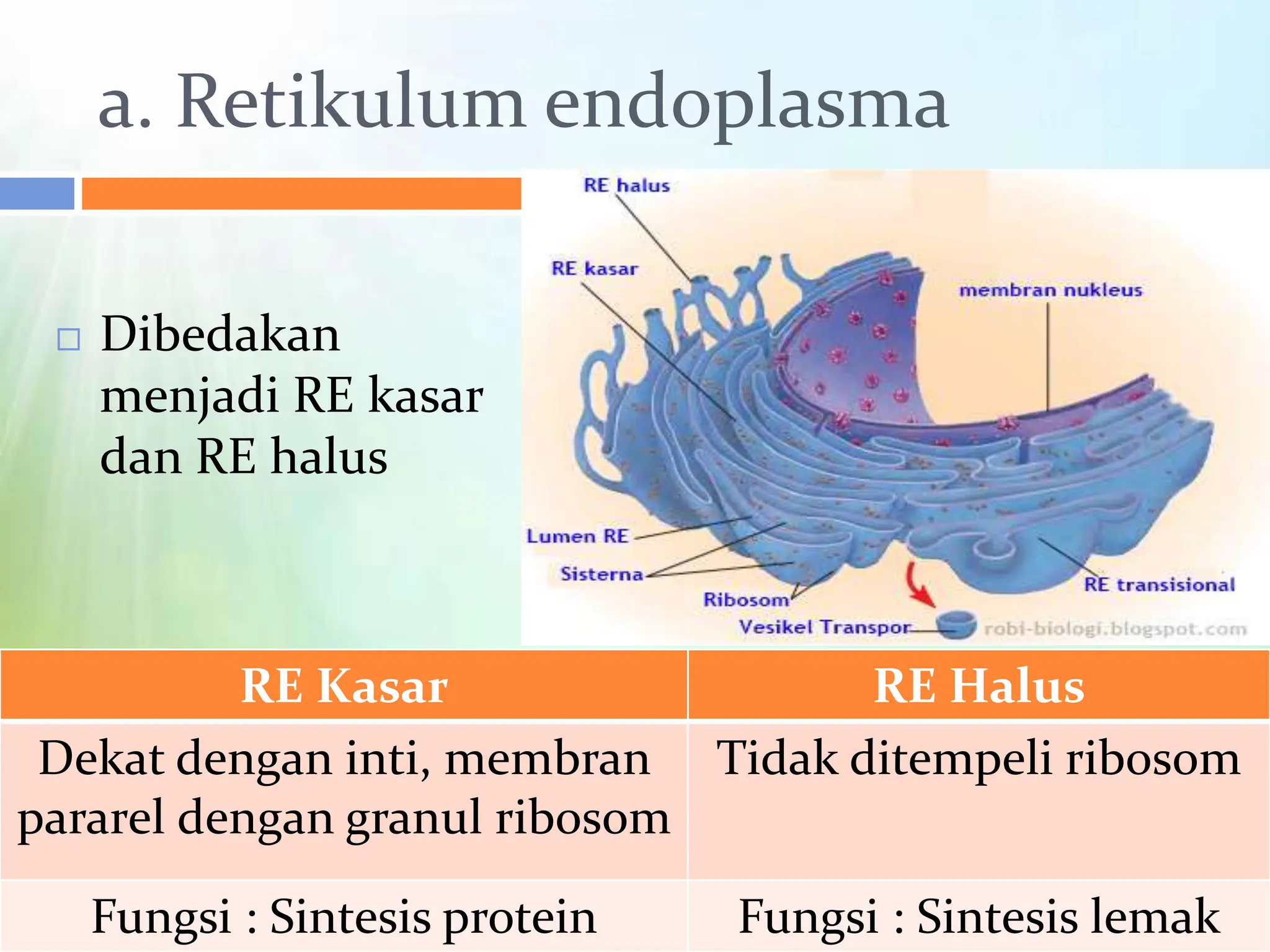 Struktur dan Fungsi Sel, Materi Biologi kelas 10 | PPTX