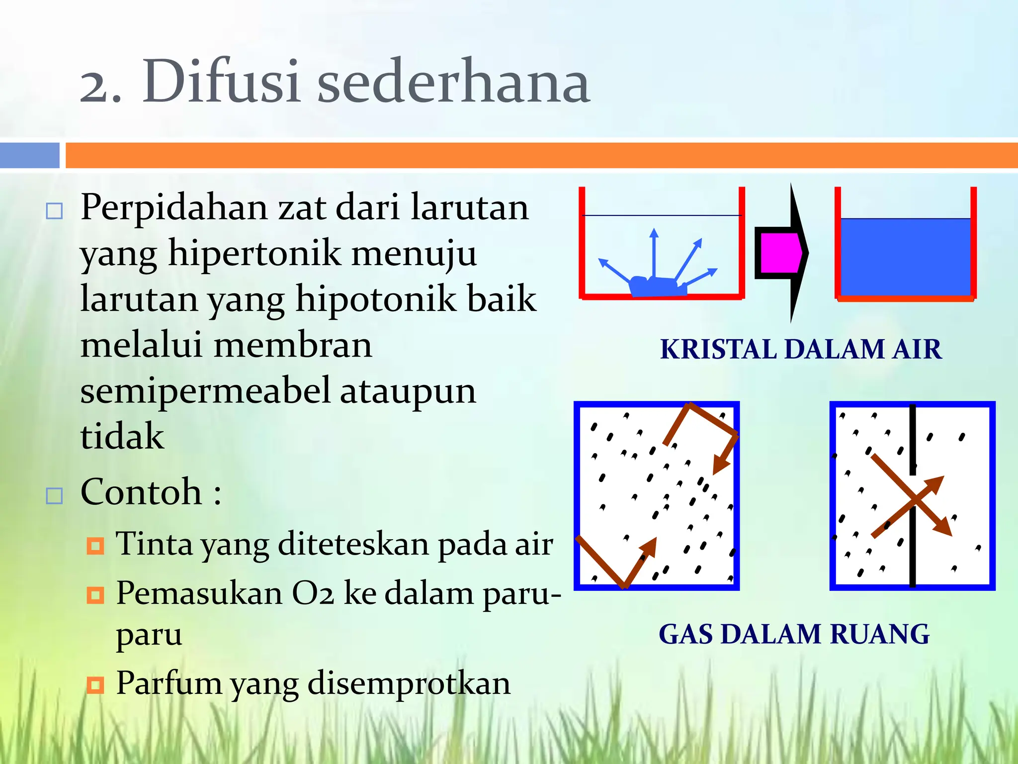 Struktur dan Fungsi Sel, Materi Biologi kelas 10 | PPTX