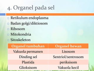Struktur dan Fungsi Sel, Materi Biologi kelas 10 | PPTX