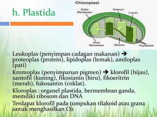 Struktur dan Fungsi Sel, Materi Biologi kelas 10 | PPTX