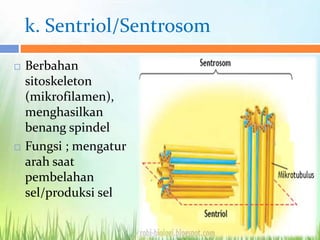 Struktur dan Fungsi Sel, Materi Biologi kelas 10 | PPTX