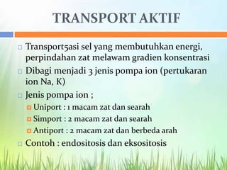 Struktur dan Fungsi Sel, Materi Biologi kelas 10 | PPTX