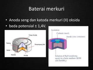 Sel primer | PPTX