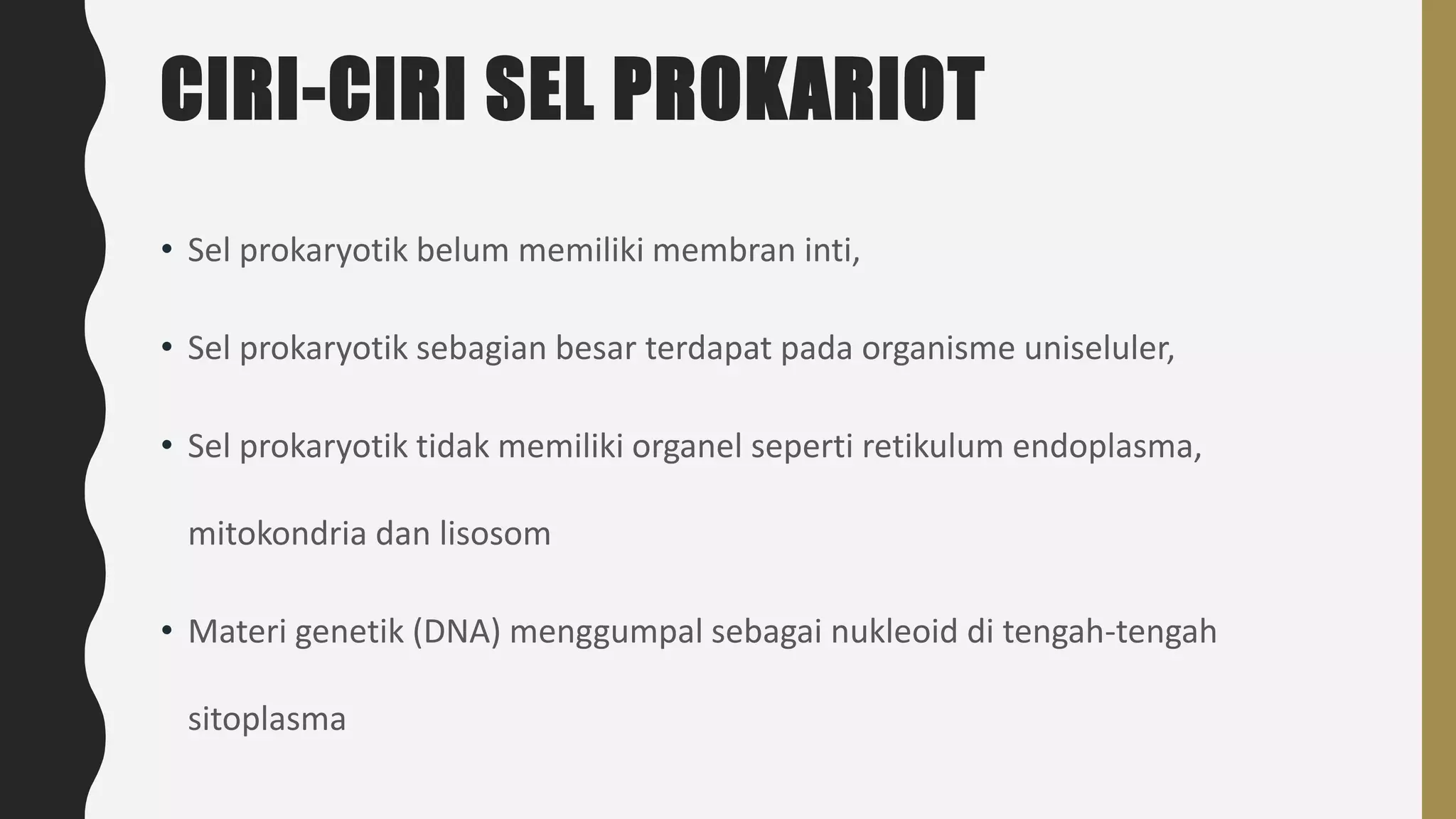 SEL PROKARIOT dan EUKARIOT Kelompok 6 (1B) | PDF