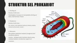 SEL PROKARIOT dan EUKARIOT Kelompok 6 (1B) | PPT