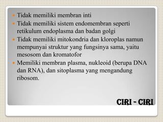 Sel prokariotik | PPTX