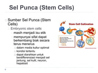Sel punca | PPTX