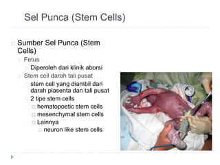 Sel punca | PPTX