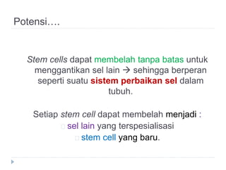 Sel punca | PPTX