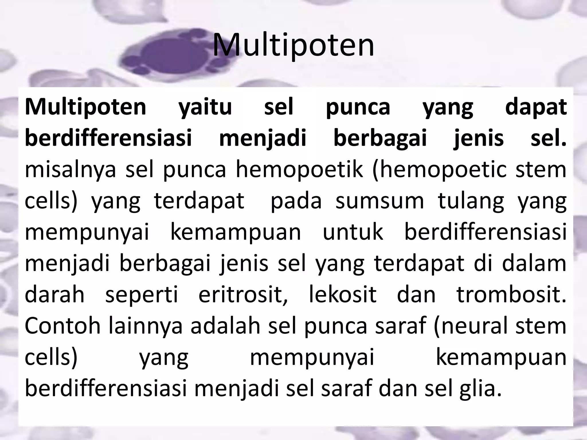 Sel punca (stem cell) | PPTX