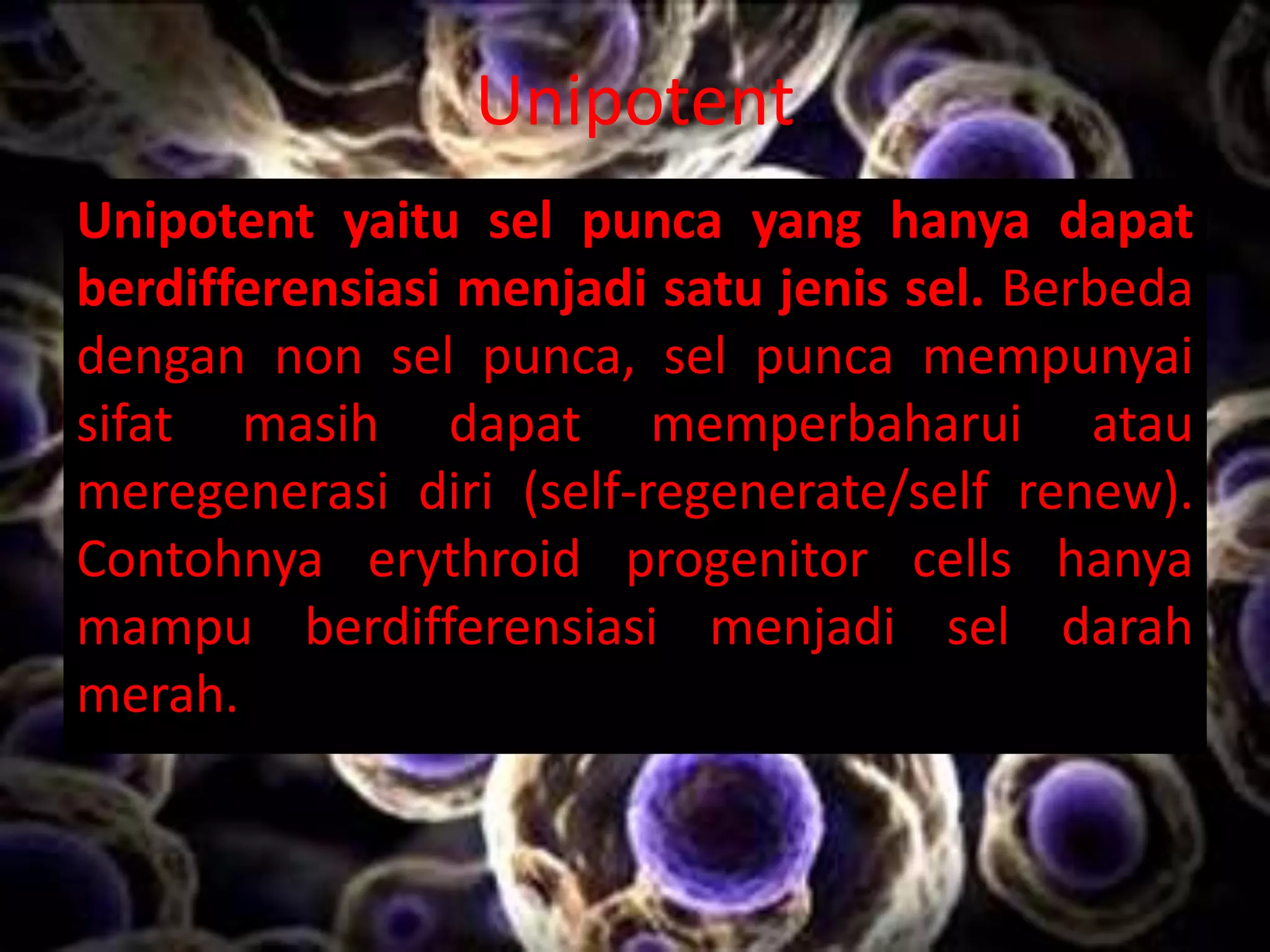 Sel punca (stem cell) | PPTX