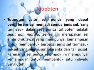Sel punca (stem cell) | PPTX