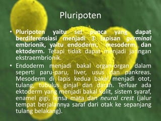Sel punca (stem cell) | PPTX