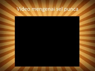 Sel punca (stem cell) | PPTX