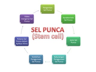 Sel punca (stem cell) | PPTX