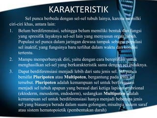 Sel punca (stem cell) | PPTX