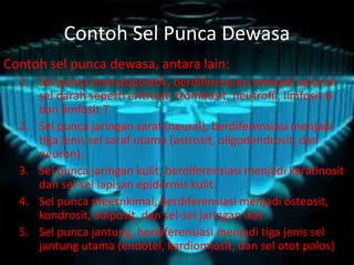 Sel punca (stem cell) | PPTX