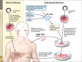 Sel_punca_stem_cell.ppt