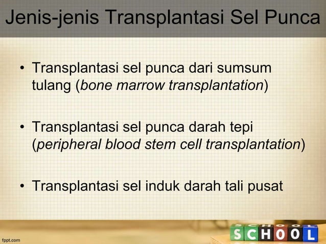Sel_punca_stem_cell.ppt
