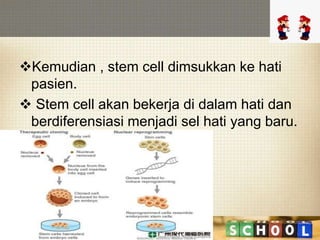 Sel_punca_stem_cell.ppt
