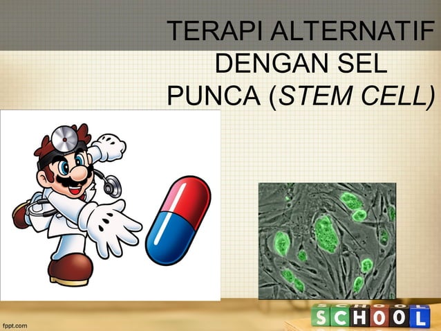 Sel_punca_stem_cell_ biologi kelas 7.ppt