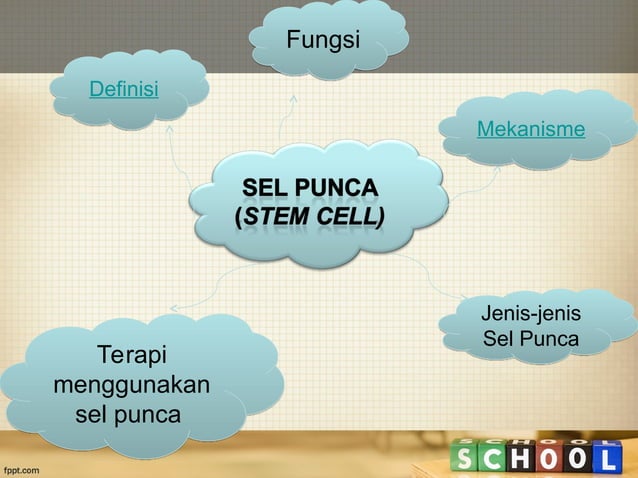 Sel_punca_stem_cell_ biologi kelas 7.ppt