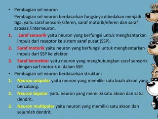 Sel saraf ( neuron ) | PPTX