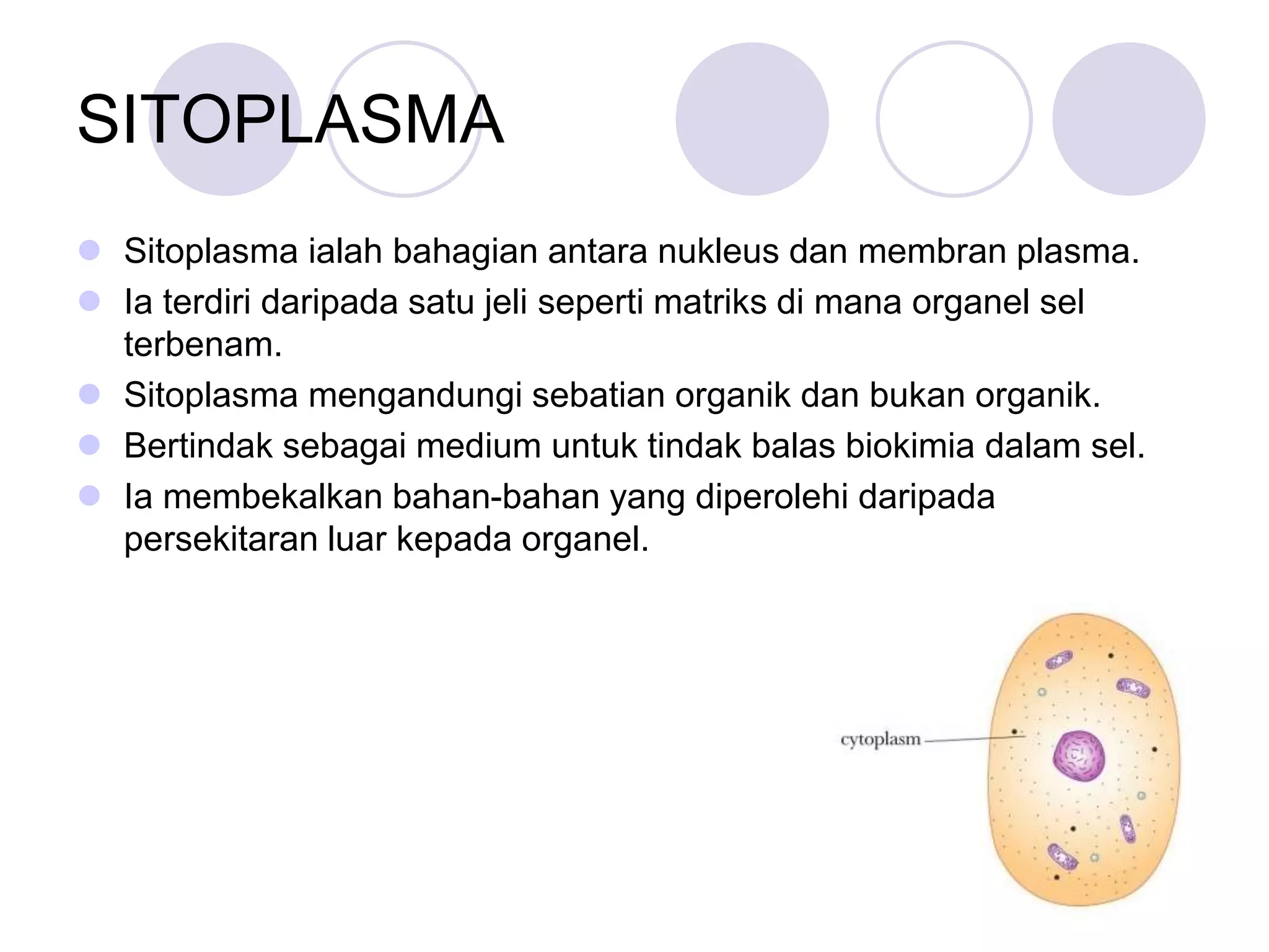sel struktur dan organisasi sel.ppt