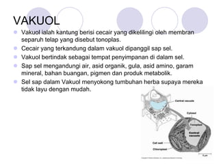 sel struktur dan organisasi sel.ppt