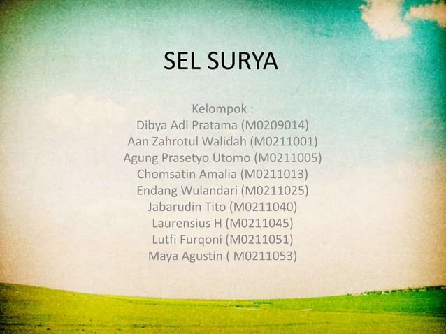 Sel surya | PPTX
