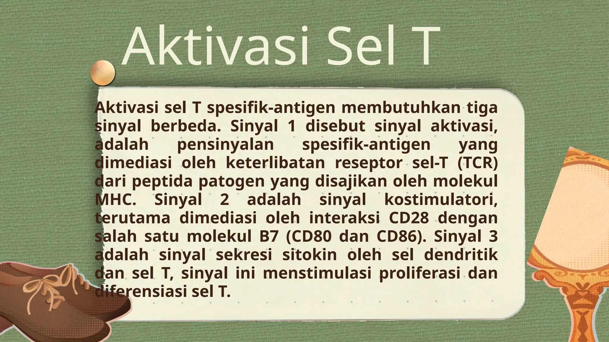 Sel T materi presentasi semester tiga.pptx