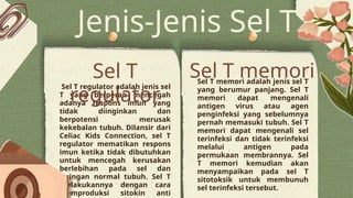 Sel T materi presentasi semester tiga.pptx